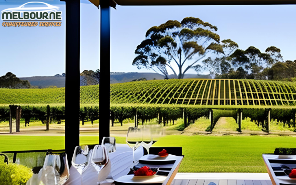 Your Gateway to Unforgettable wine tours Melbourne Enjoy with Us